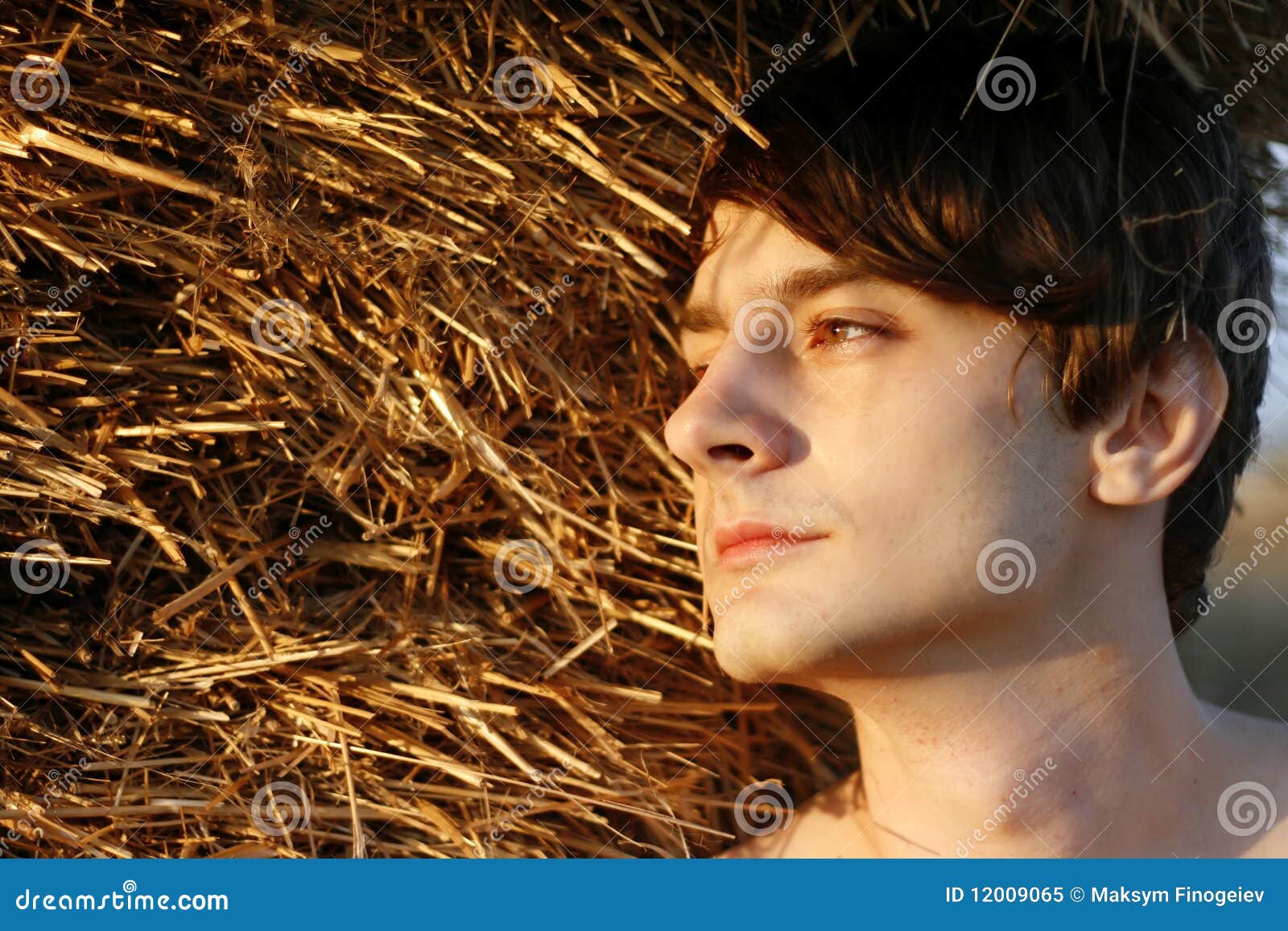 Portrait of the Guy with Hay Stock Image - Image of portrait, dreamer ...
