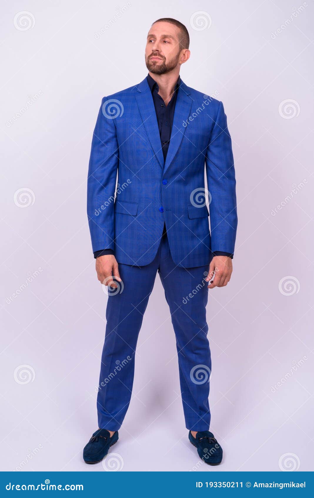 Portrait of Handsome Bald Bearded Businessman in Suit Stock Image ... Portrait of Handsome Bald Bearded Businessman in Suit Stock Image ...