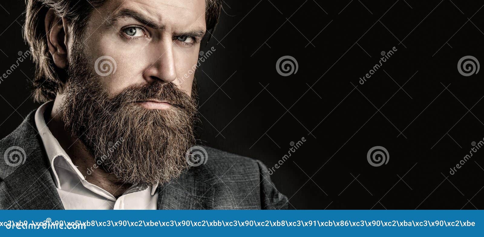 Portrait Of Handsome Bearded Man In Suit Male Beard And Mustache Male