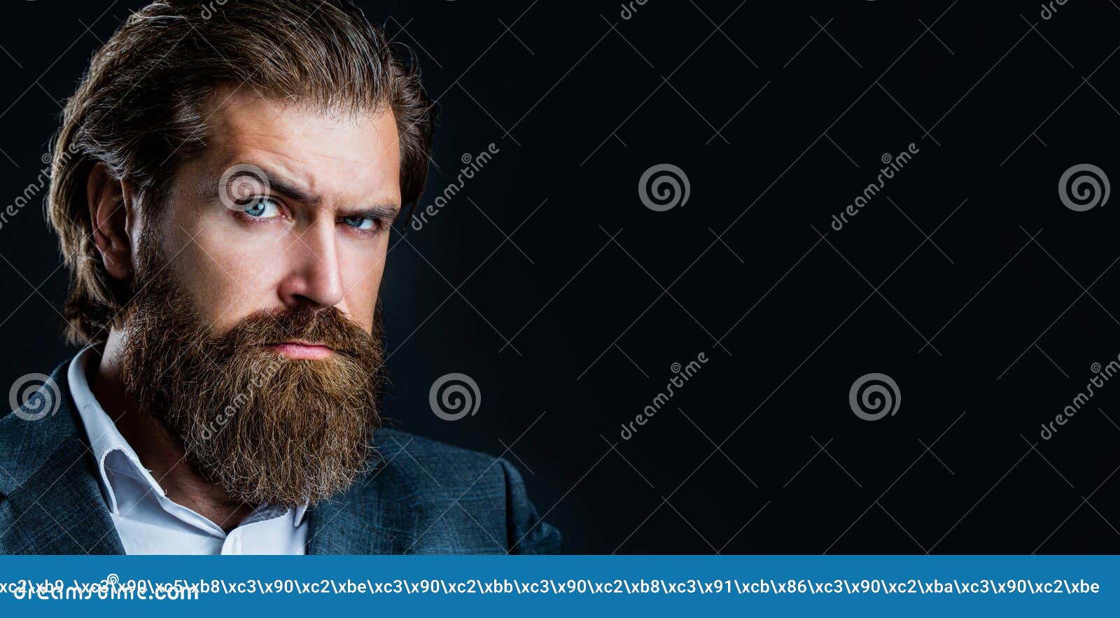 Portrait Of Handsome Bearded Man In Suit Male Beard And Mustache Male