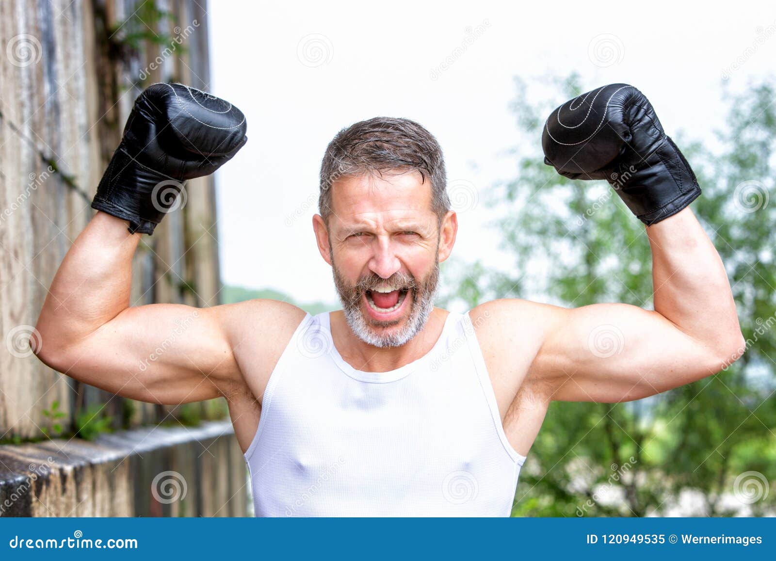 Portrait of Handsome Boxer in Victory Pose Stock Image - Image of ...