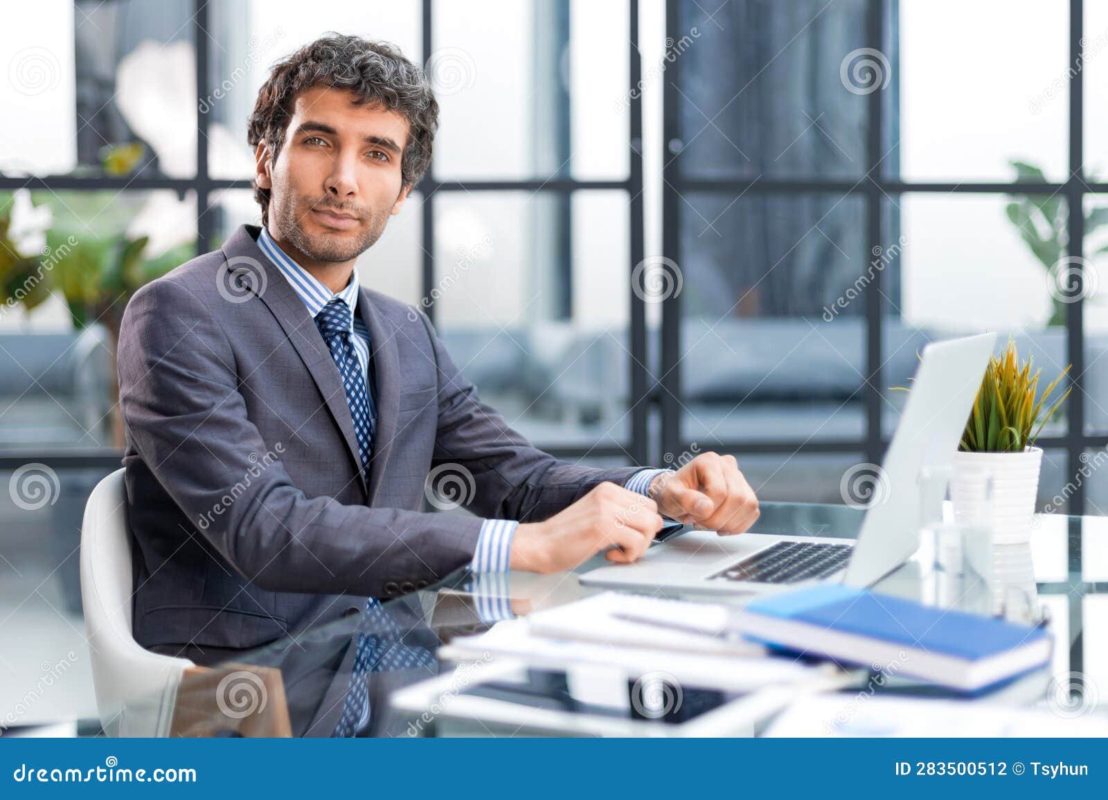 Portrait of Handsome Businessman Sitting in Office. Stock Photo - Image ...