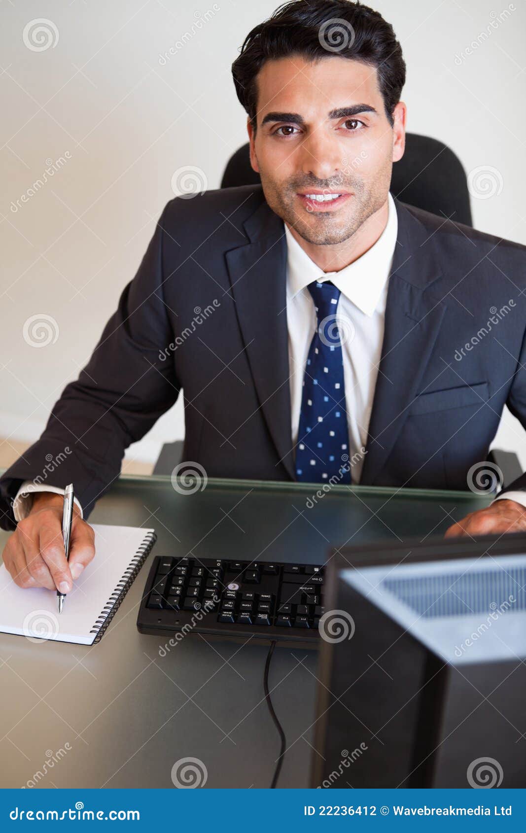 Portrait of a Handsome Businessman Taking Notes Stock Photo - Image of ...