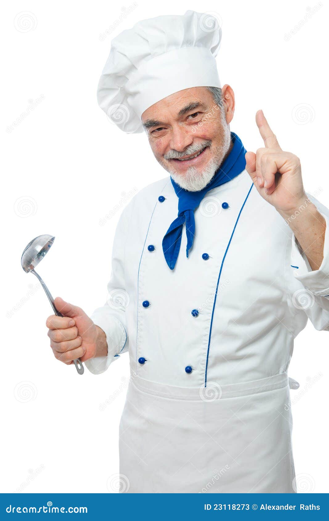 Portrait of a Handsome Chef Stock Image - Image of food, chef: 23118273