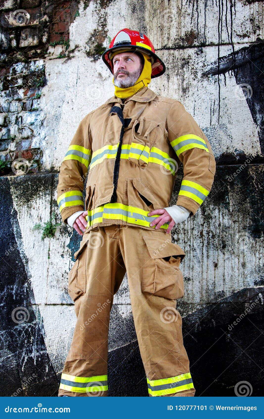 Portrait of Handsome Fireman in Uniform Stock Image - Image of crew ...