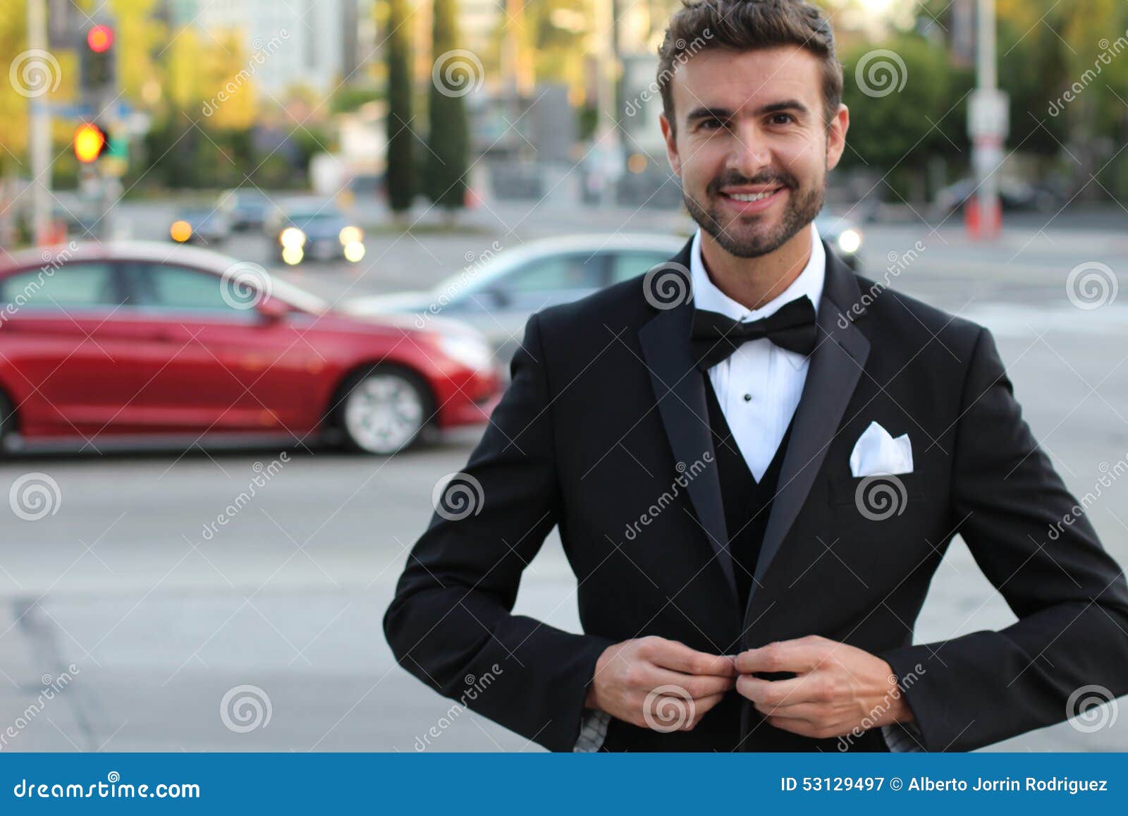 Portrait of a Handsome Gentleman with a Perfect Smile Stock Image ...