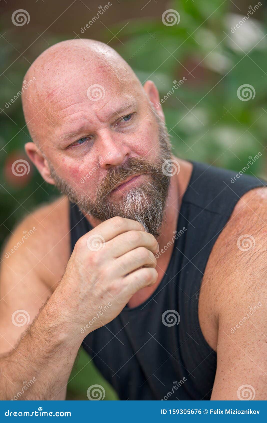 Portrait of a Handsome Macho Man Playing with His Beard Stock Photo ...