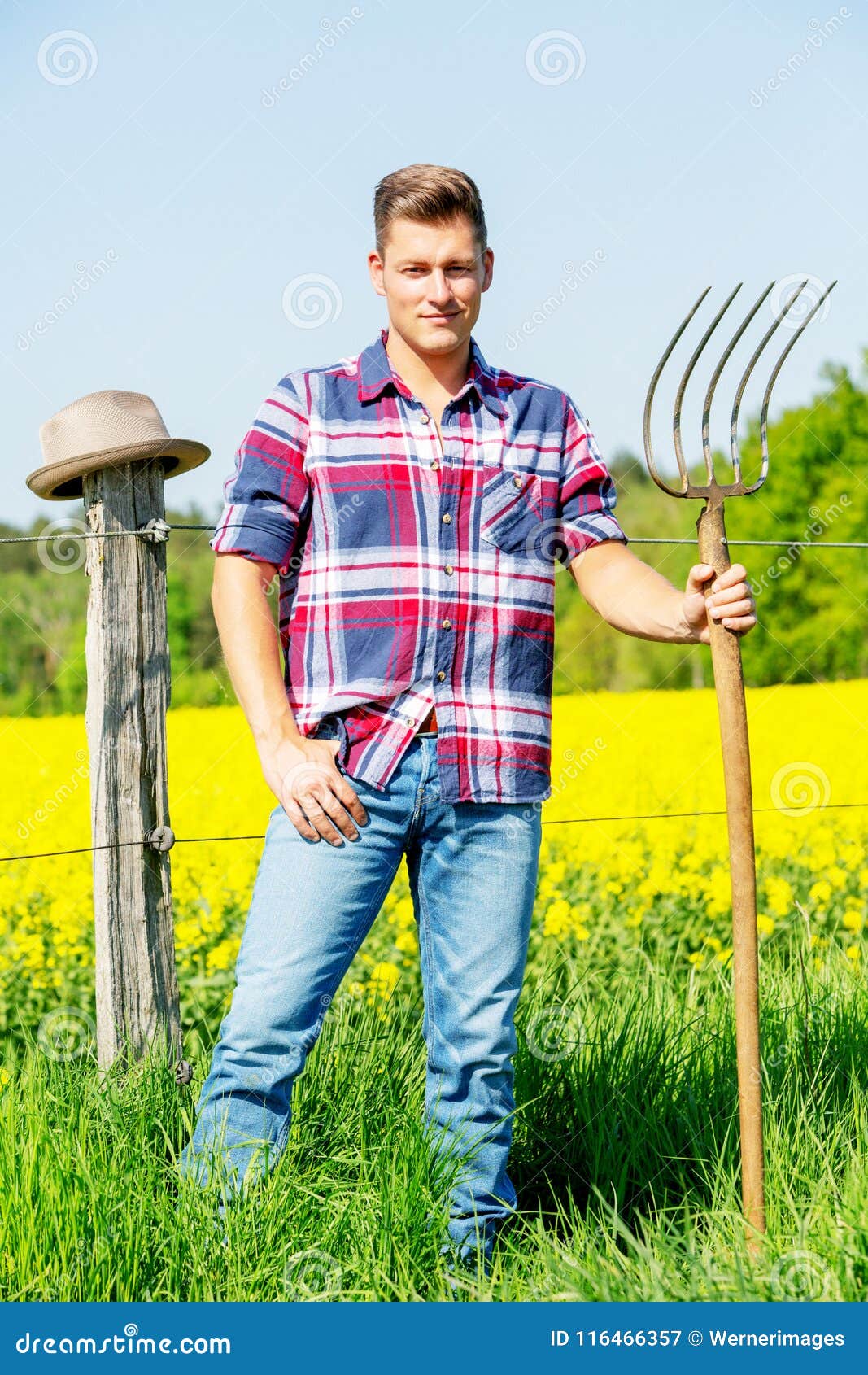 Handsome Man with Pitchfork Standing in Front of Yellow Field Stock ...