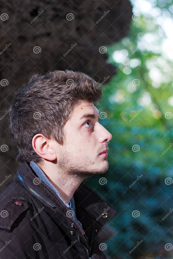 Portrait of a Handsome Man in Profile Stock Image - Image of looking ...