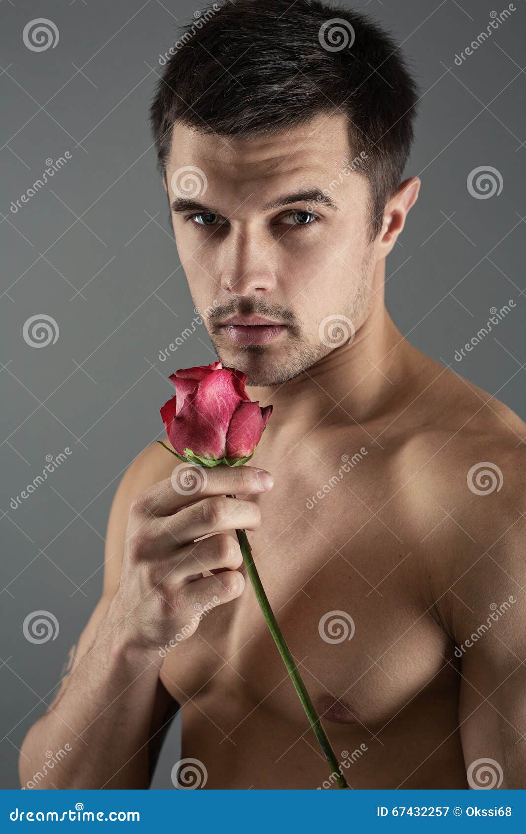 Portrait of a Handsome Man with a Rose Stock Image - Image of love ...
