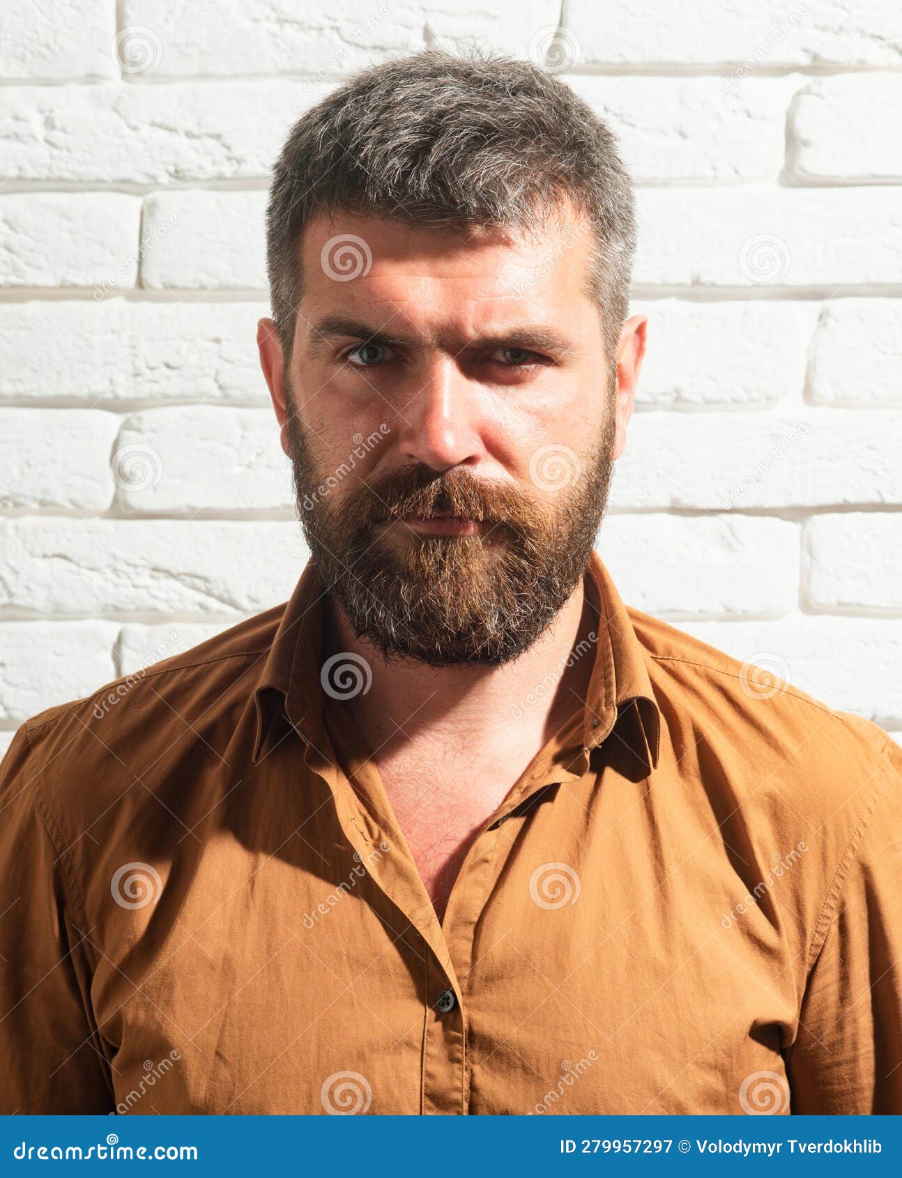 Portrait of Handsome Man with Serious Face. Stock Image - Image of ...