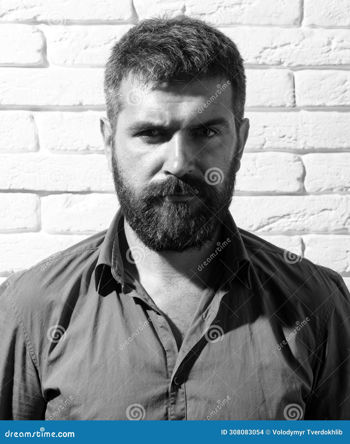 Portrait of Handsome Man with Serious Face. Stock Photo - Image of ...