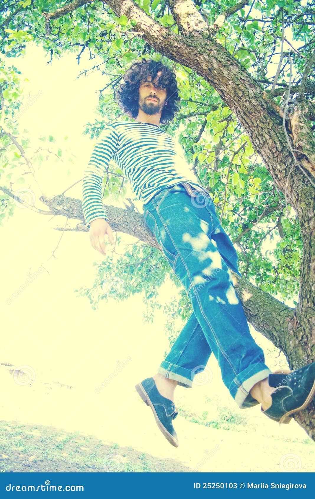 Portrait Of Handsome Man On Tree Royalty-Free Stock Photo ...