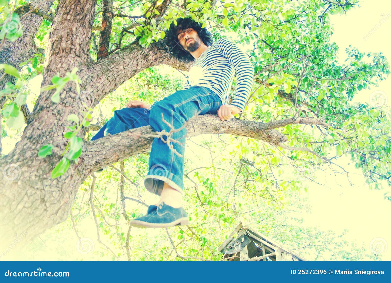 Portrait of Handsome Man on Tree Stock Photo - Image of activity ...