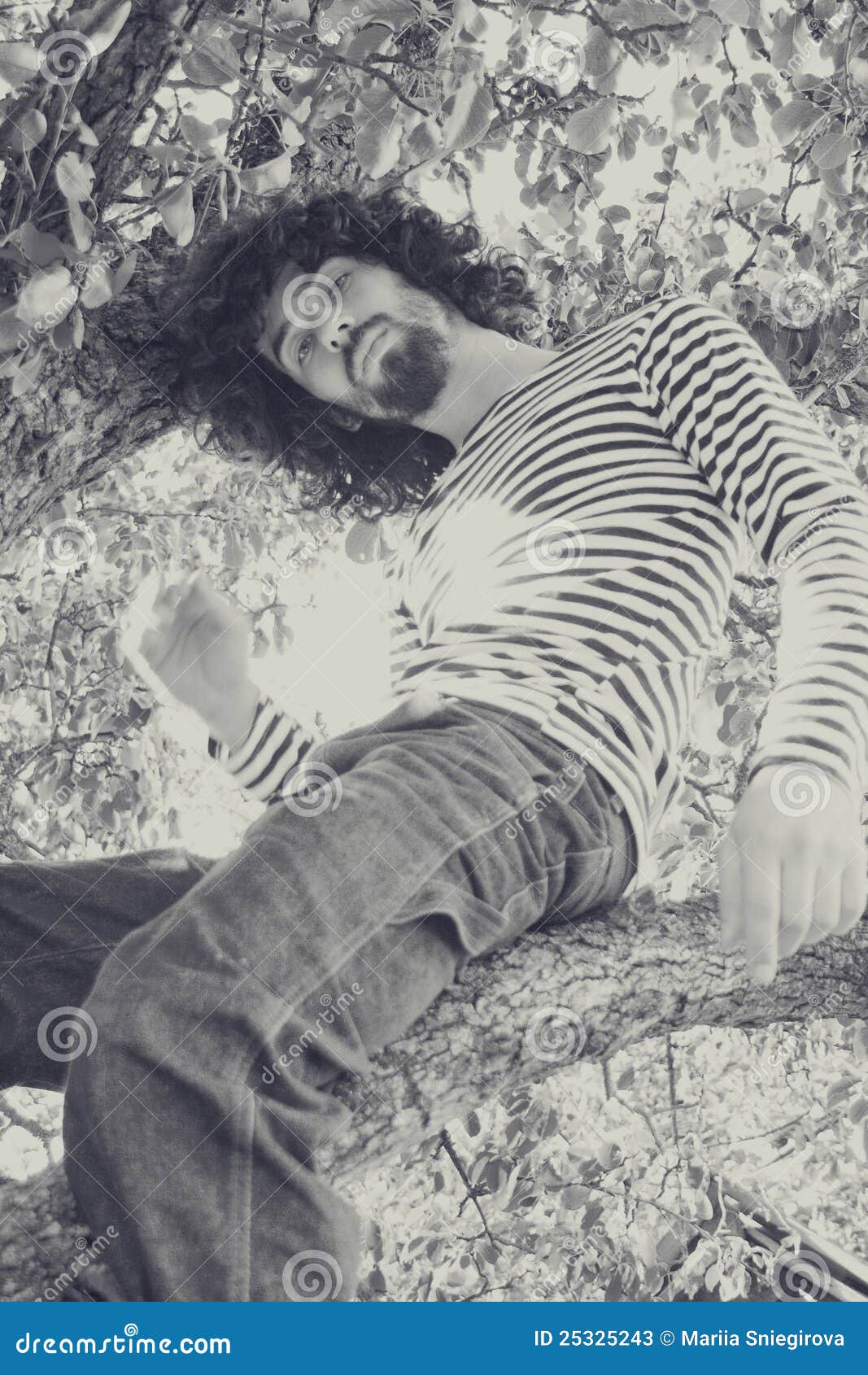 Portrait of Handsome Man on Tree Stock Image - Image of fashion ...