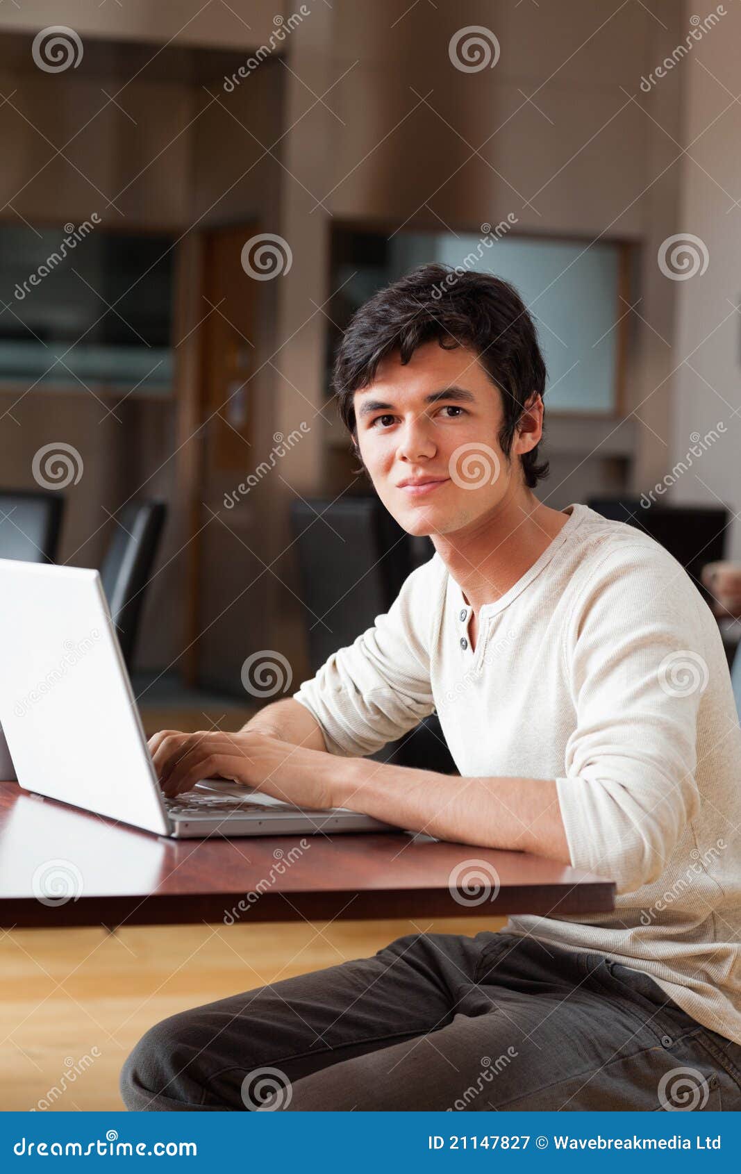 Portrait of a Handsome Man Using a Laptop Stock Image - Image of ...