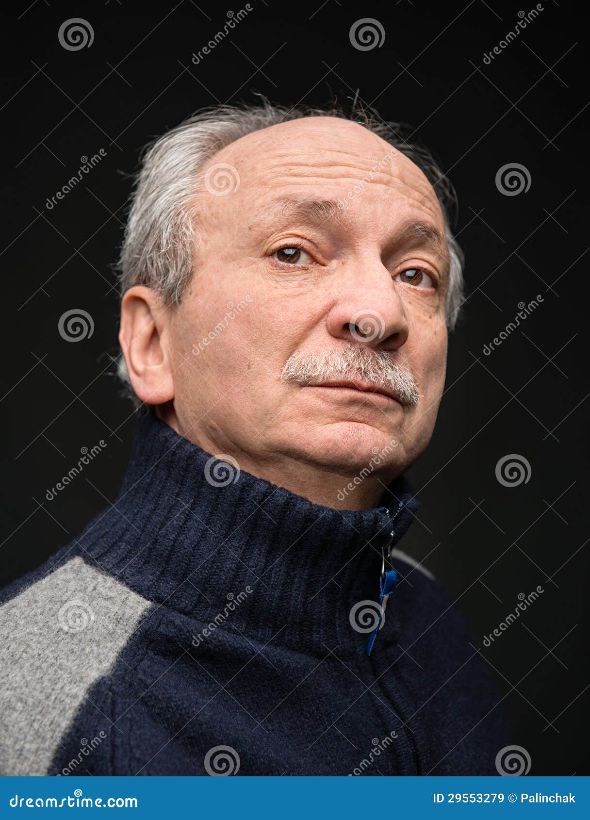 Portrait of Handsome Senior Man Stock Image - Image of mature, adult ...