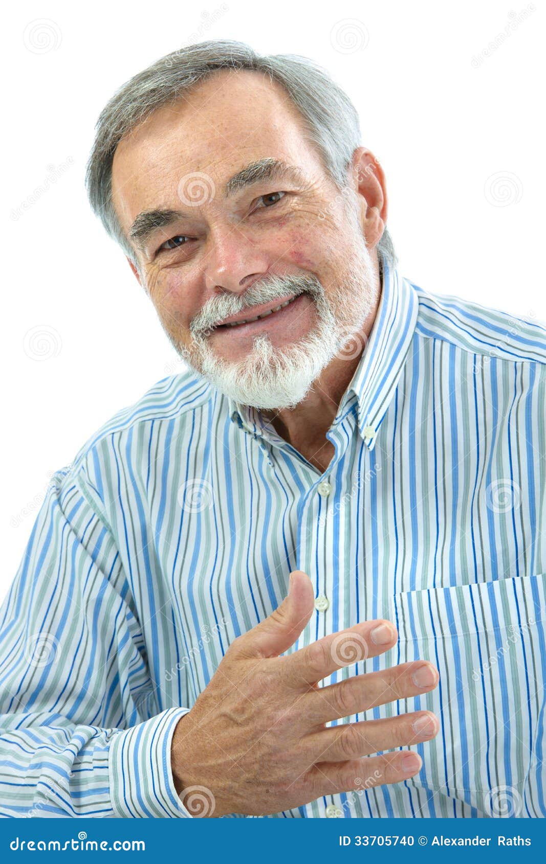 Portrait of Handsome Senior Man Stock Photo - Image of head, pensioner ...