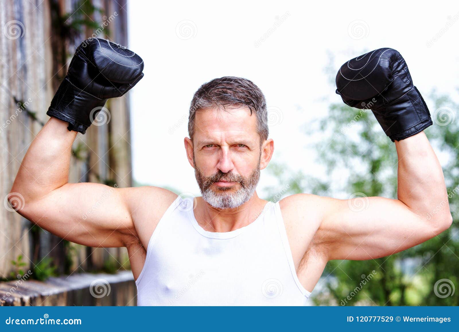 Portrait of Handsome Boxer in Victory Pose Stock Image - Image of ...