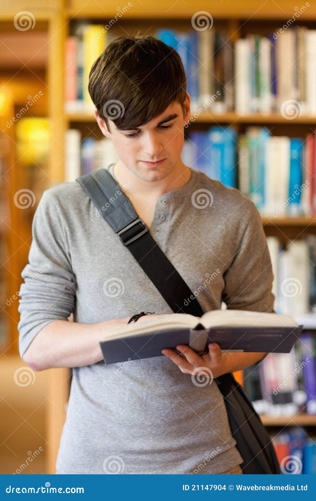 Portrait of a Handsome Student Reading a Book Stock Photo - Image of ...
