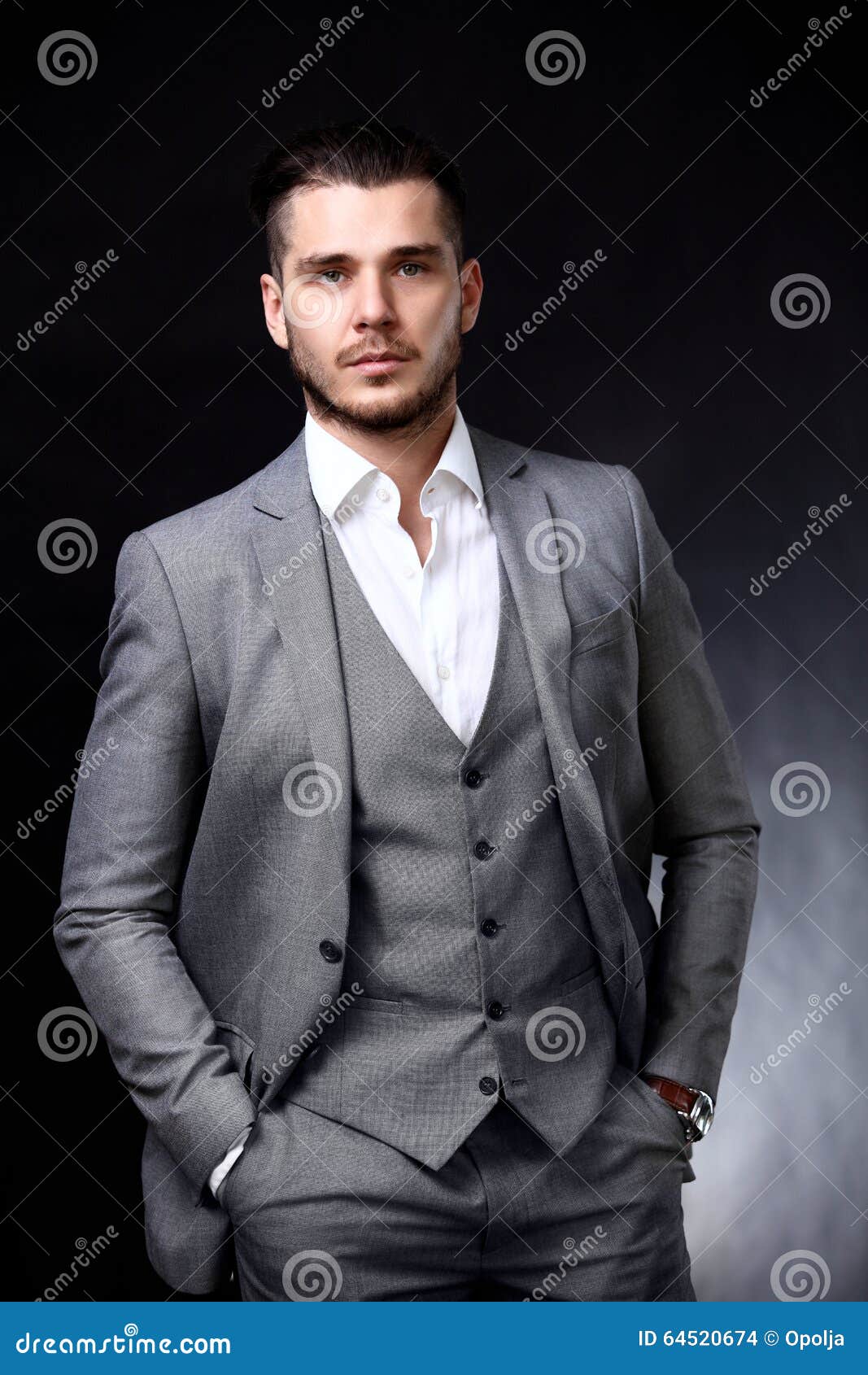 Portrait of Handsome Stylish Man in Elegant Suit Stock Photo - Image of ...