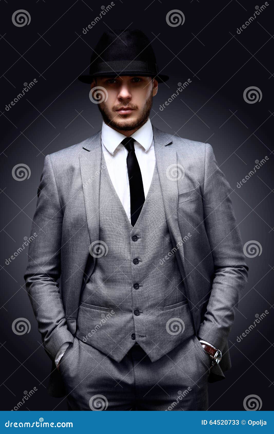Portrait of Handsome Stylish Man in Elegant Suit Stock Image - Image of ...