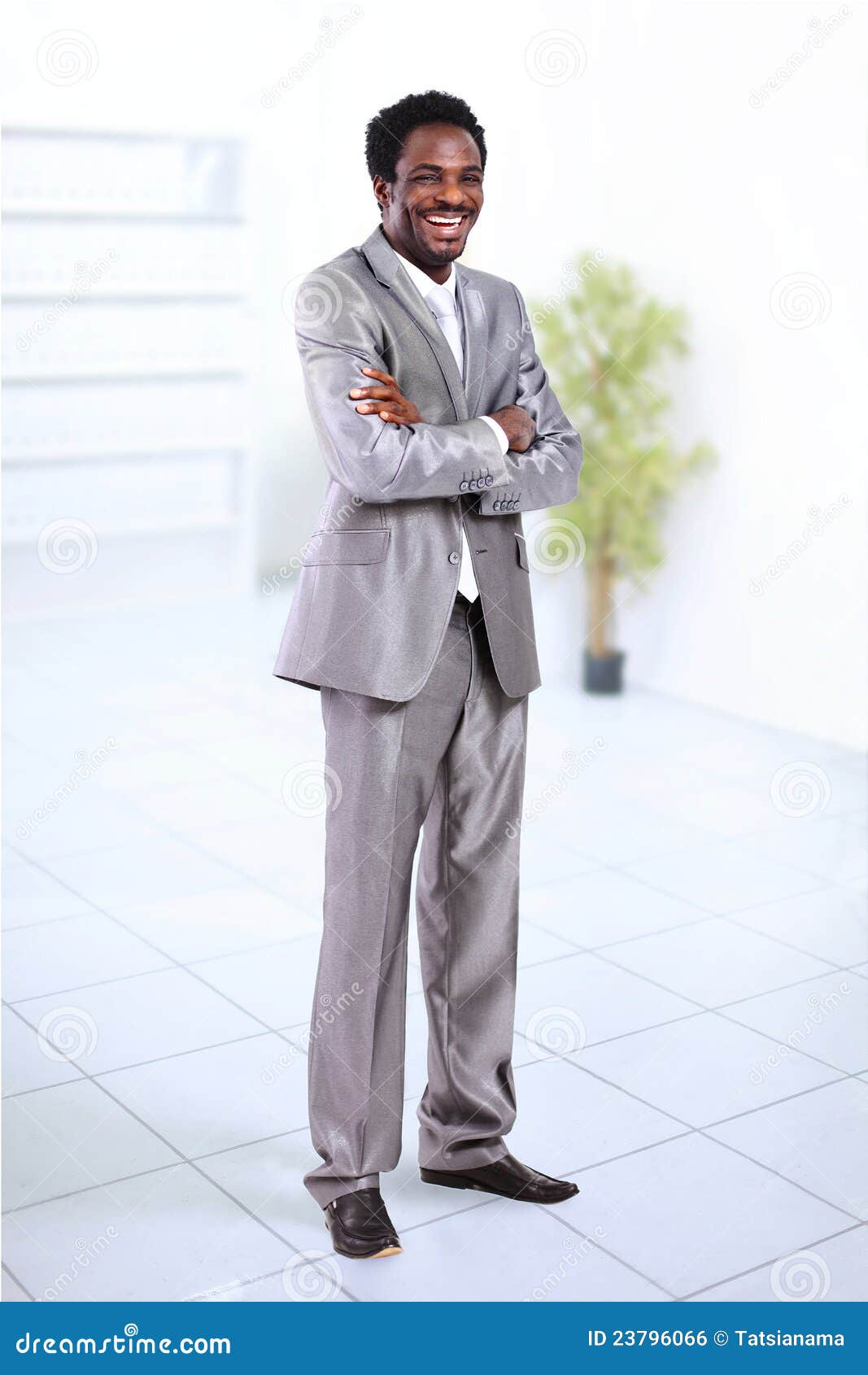 Portrait of a Handsome Successful Business Man Stock Photo - Image of ...