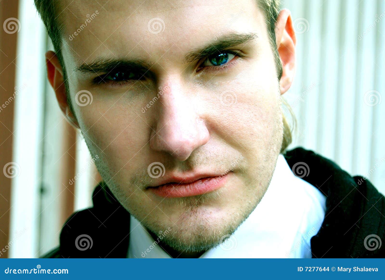Portrait of Handsome White Man Stock Photo - Image of people, face: 7277644