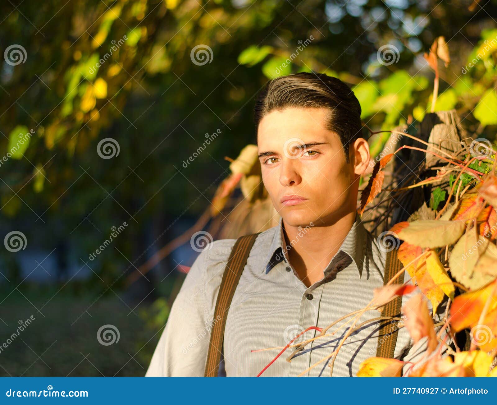 Portrait of Handsome Young Man in Fall (autumn) Stock Image - Image of ...