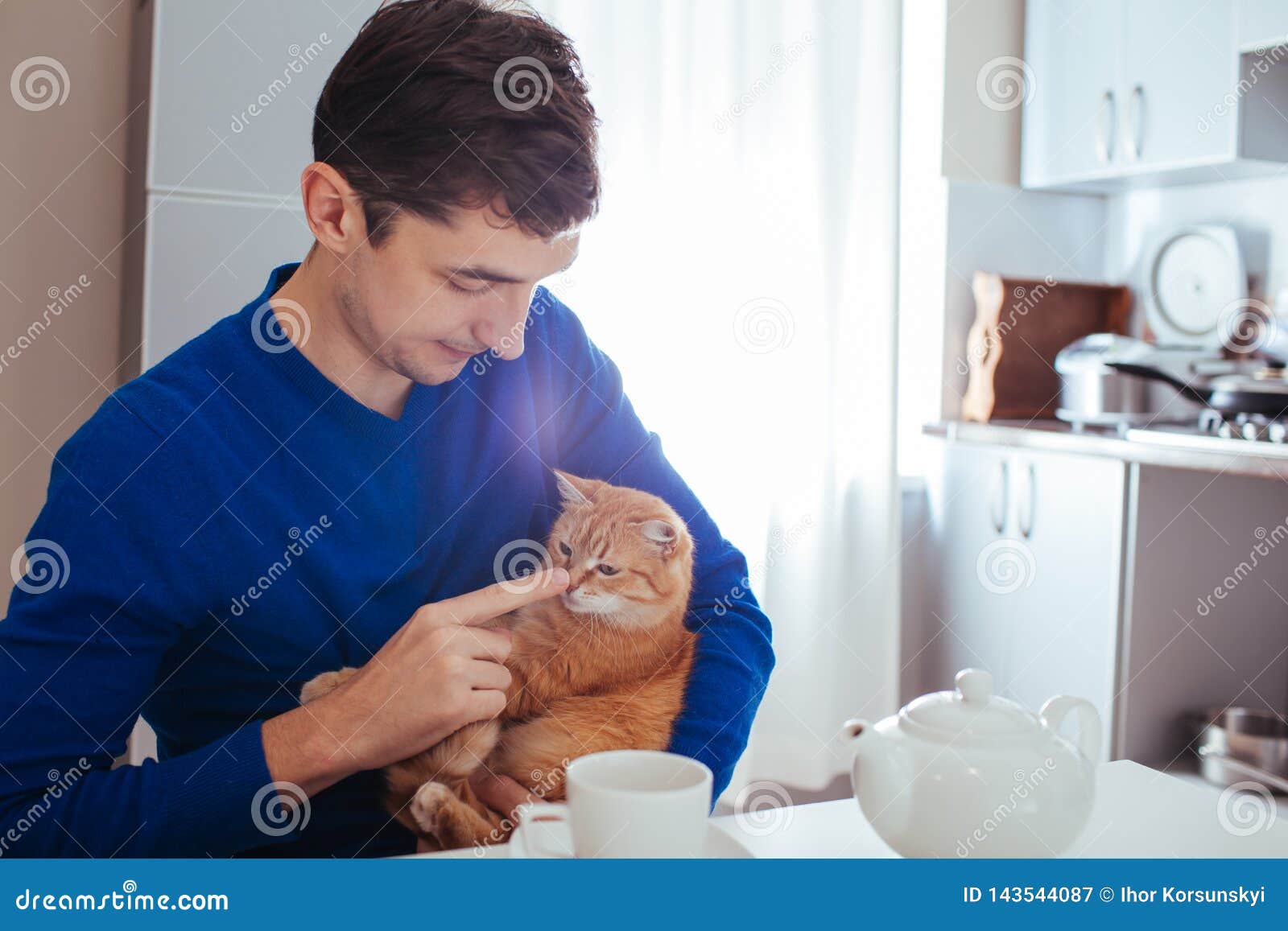 Portrait of Handsome Young Man Playing with Cat in the Kitchen Stock ...
