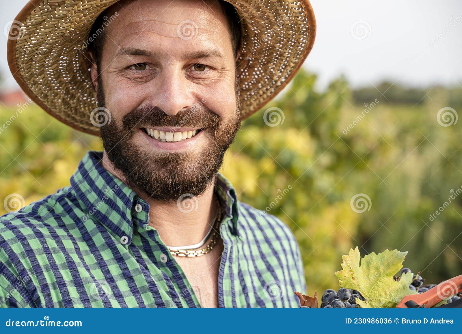 Portrait of happy farmer stock photo. Image of harvest - 230986036