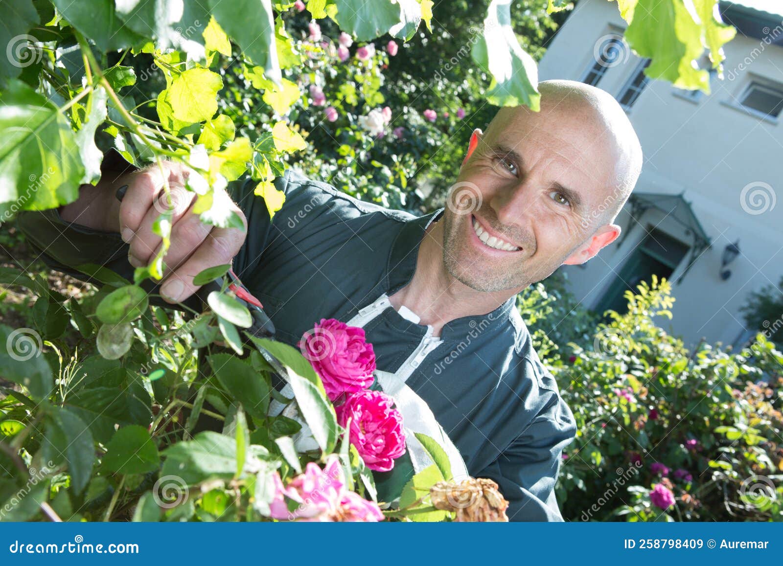 Portrait happy gardener stock image. Image of work, gardener - 258798409