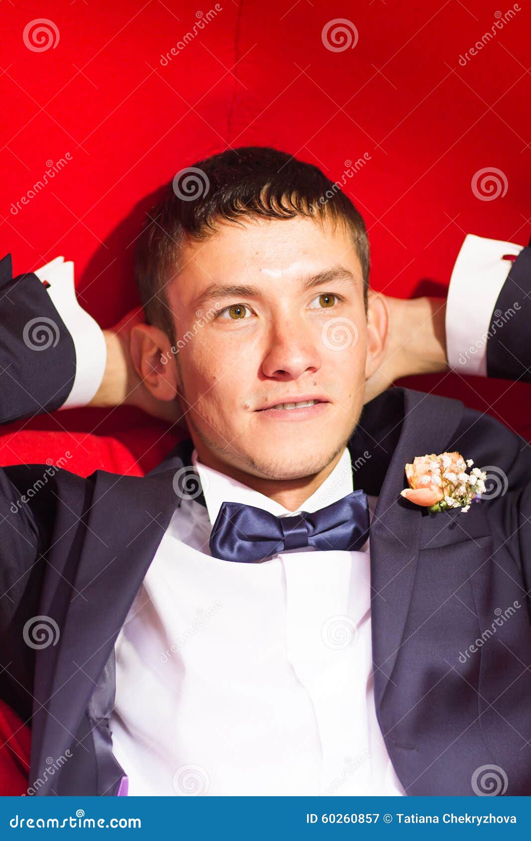 Portrait of the Happy Groom Stock Image - Image of confident, formal ...