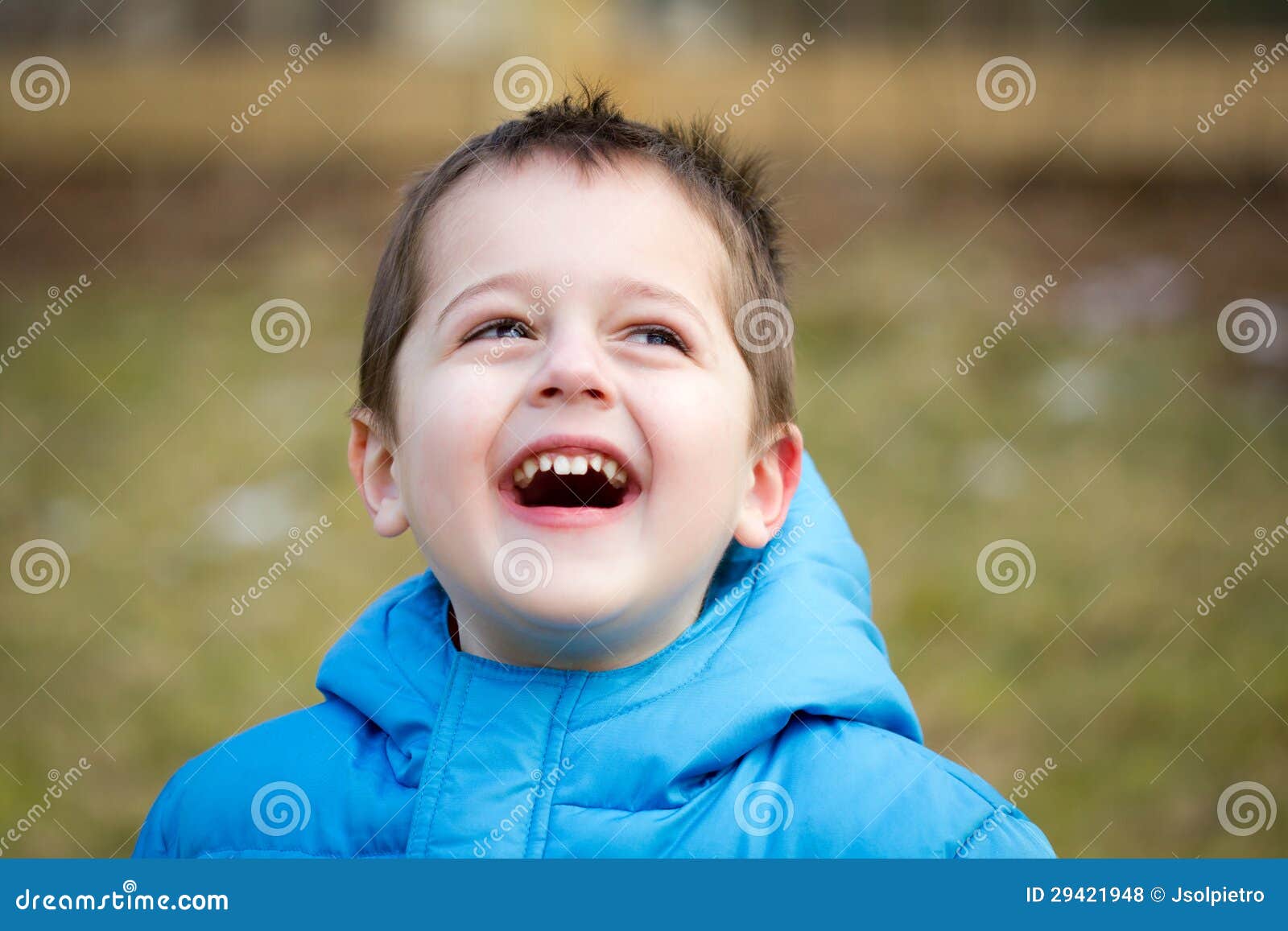 Portrait of a Happy Little Boy Stock Photo - Image of hair, child: 29421948