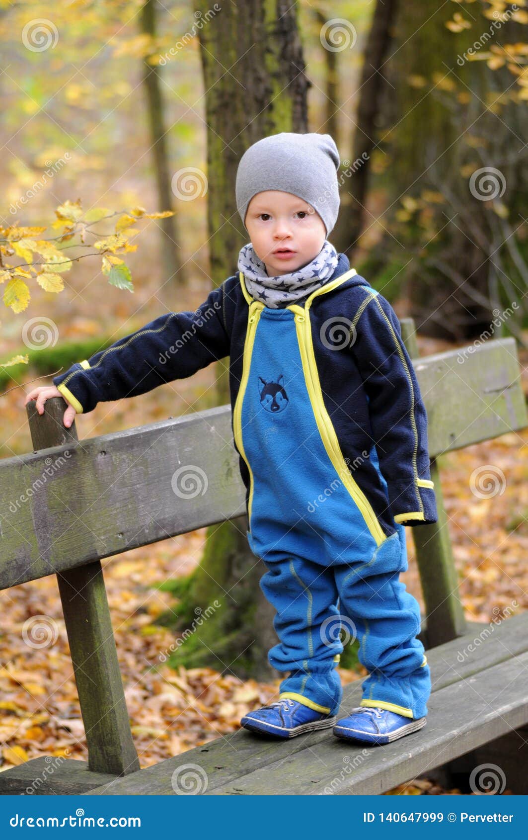 Portrait of a Happy Little Boy Standing on a Bench Stock Image - Image ...