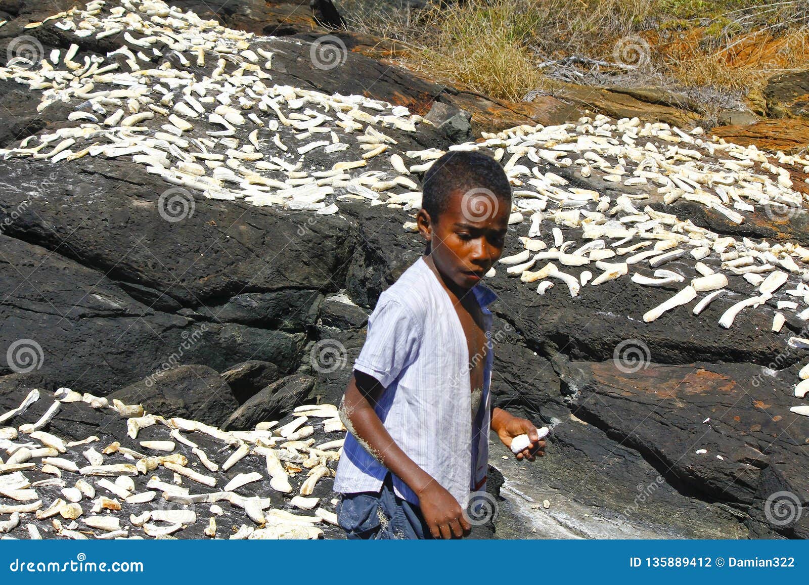 Portrait of Happy Malagasy Boy Stock Photo - Image of male, madagascar ...
