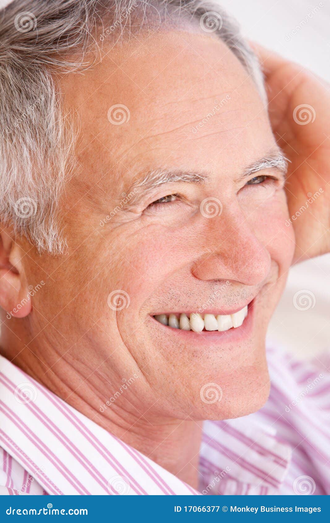 Portrait of Happy Senior Man Stock Image - Image of head, smiling: 17066377