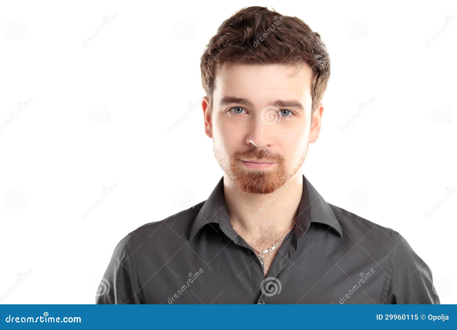 Portrait of Happy Smiling Man Stock Image - Image of isolated, casual ...
