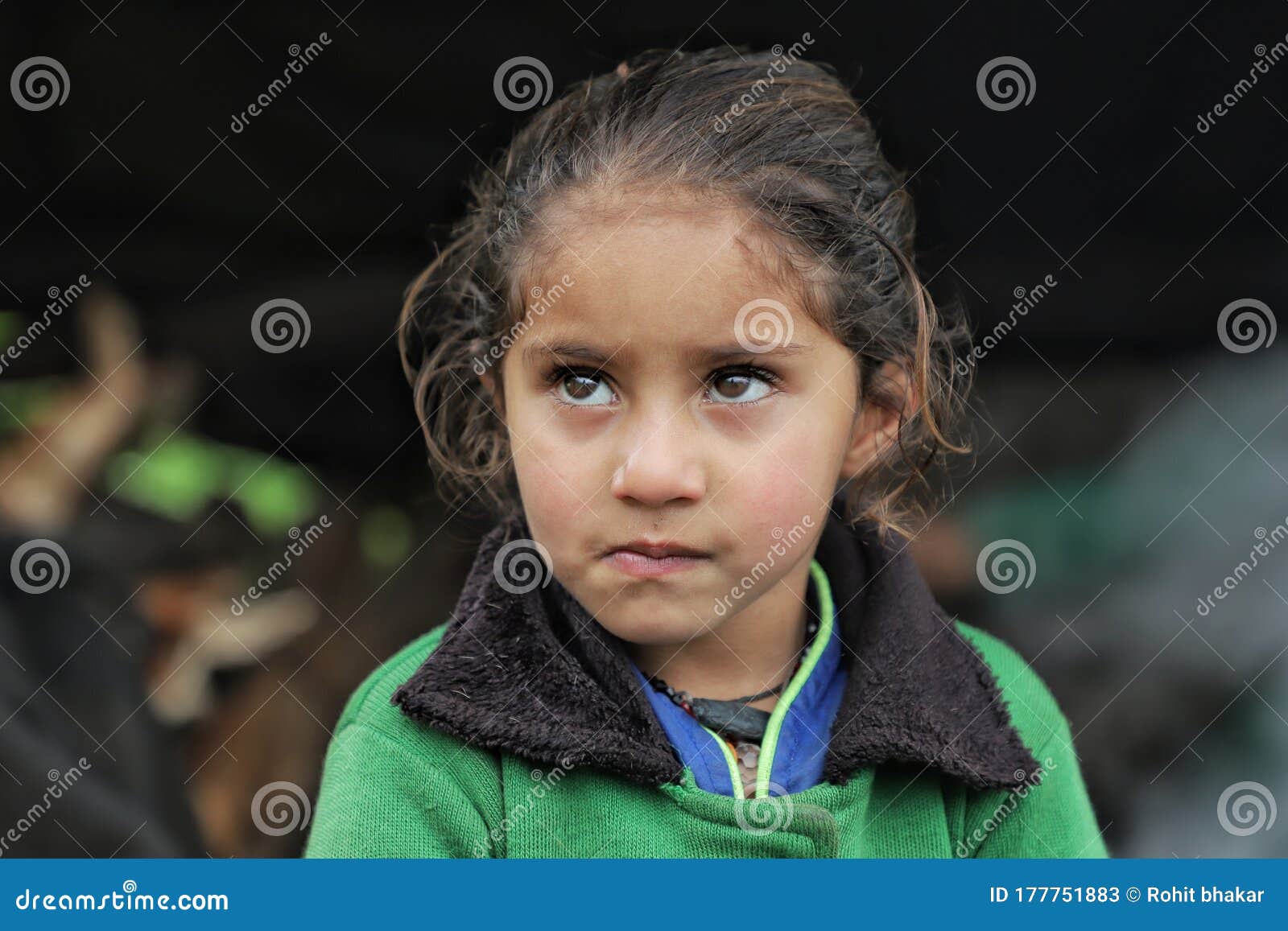 Portrait of a Himalayan Girl Editorial Stock Photo - Image of himalayan ...