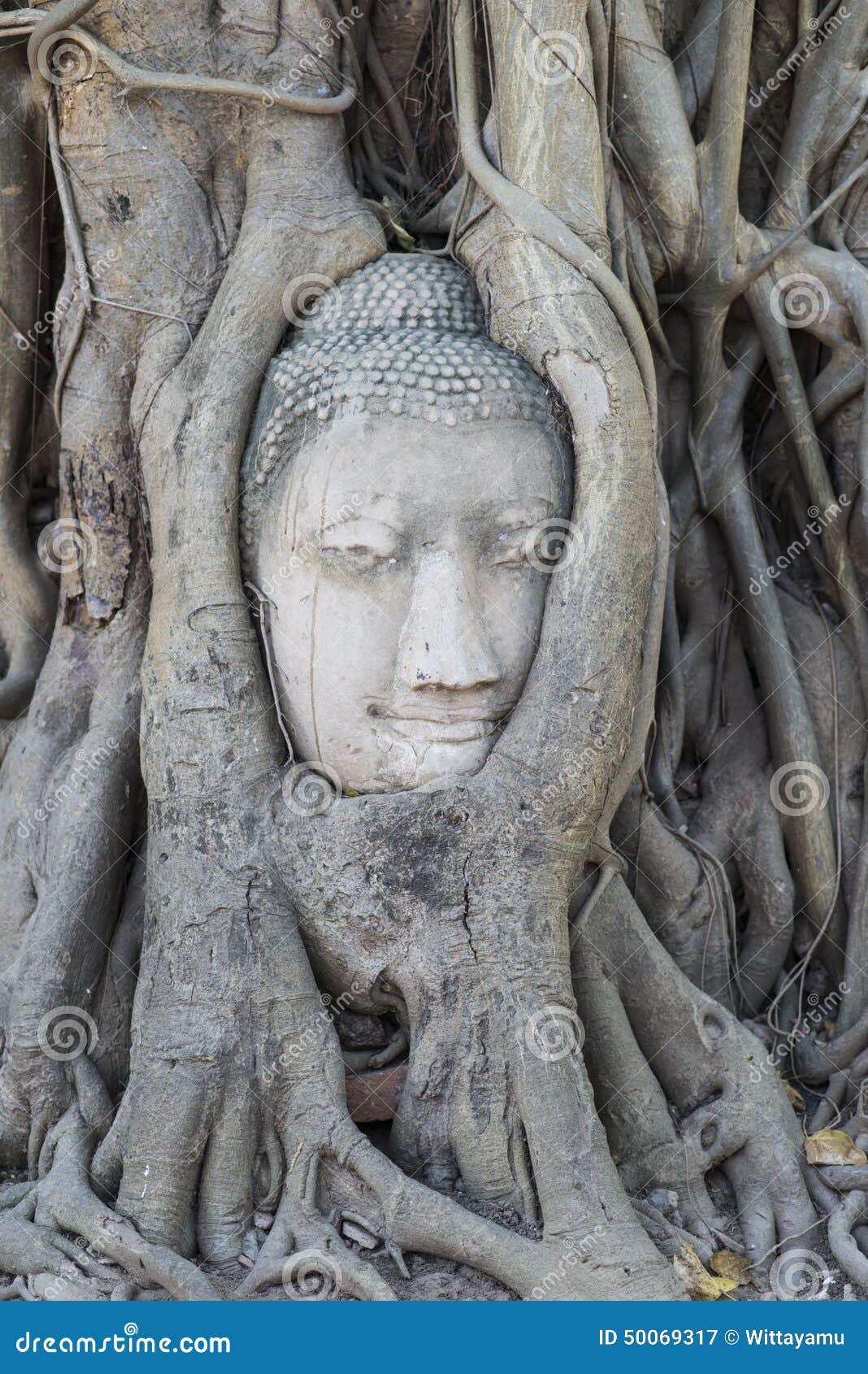 Portrait of the Holy Buddha. Stock Image - Image of attraction, hope ...