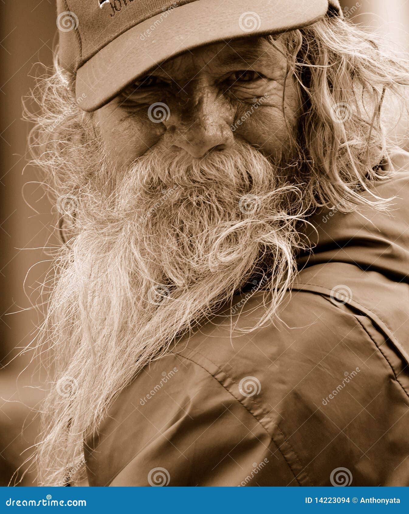 Portrait of a Homeless Man stock photo. Image of desperate - 14223094