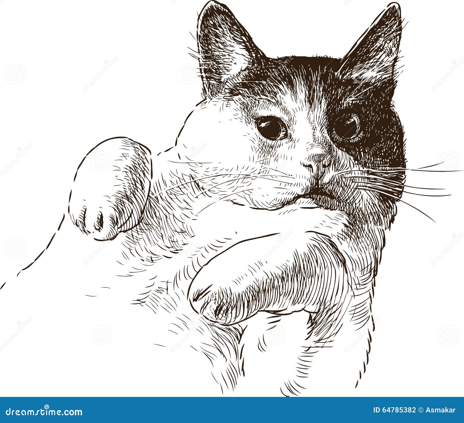 Portrait of the house cat stock vector. Illustration of playful - 64785382