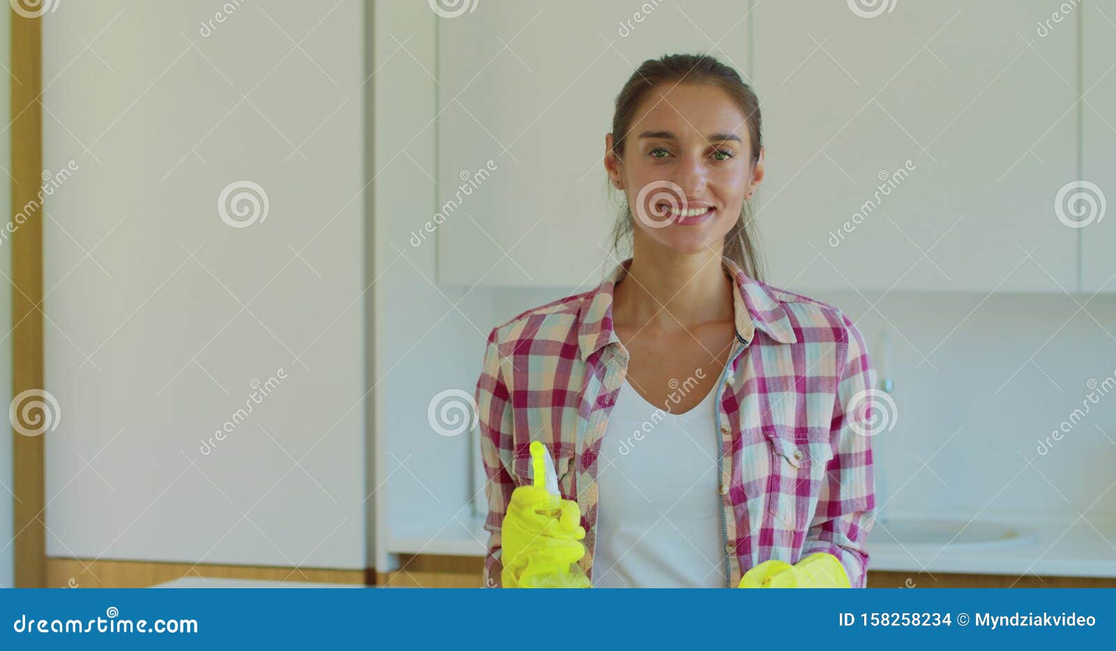 Portrait of Housewife Who is Ready for Housework. Stock Photo - Image ...