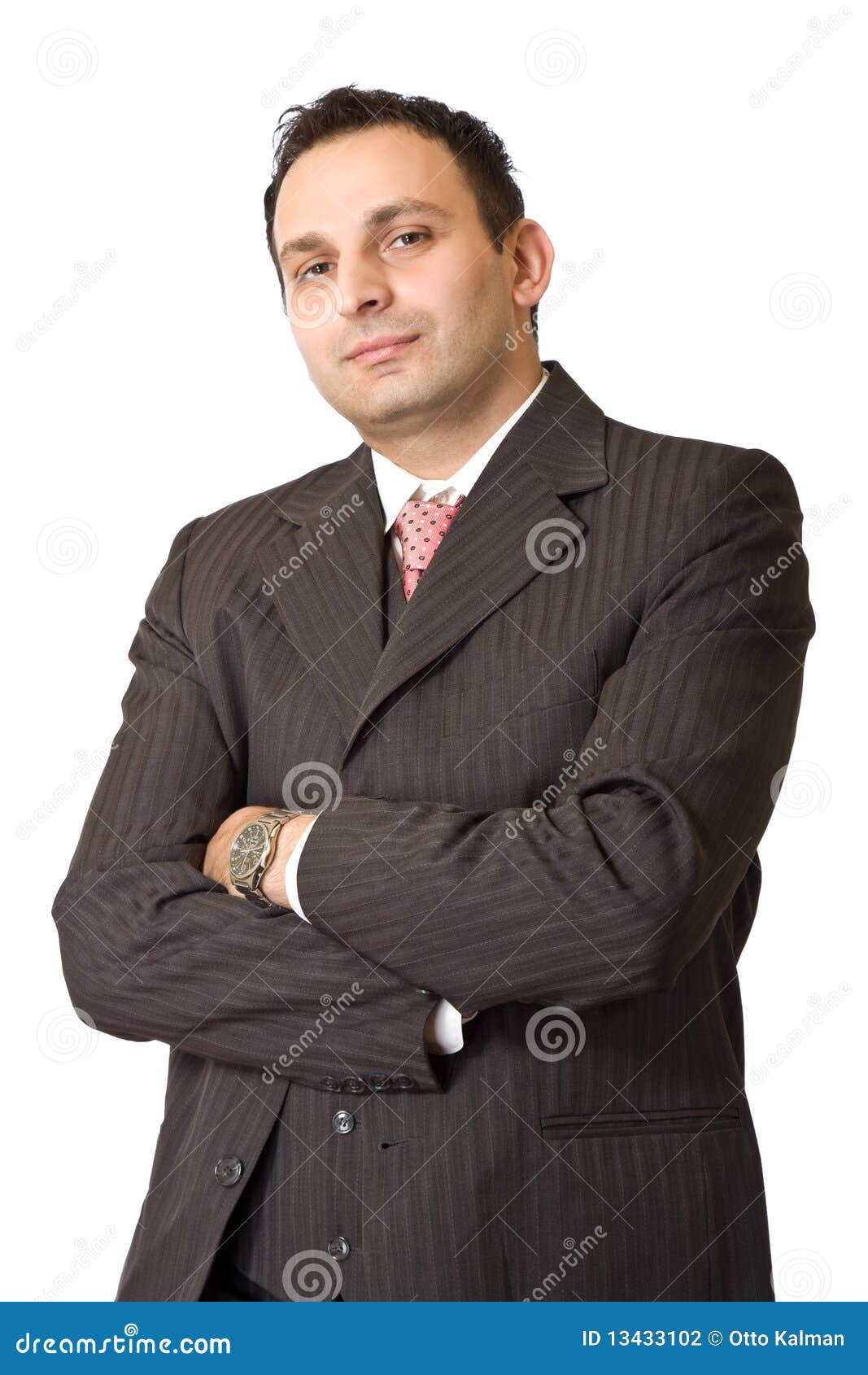 Portrait of an Indian Businessman Stock Photo - Image of isolated ...