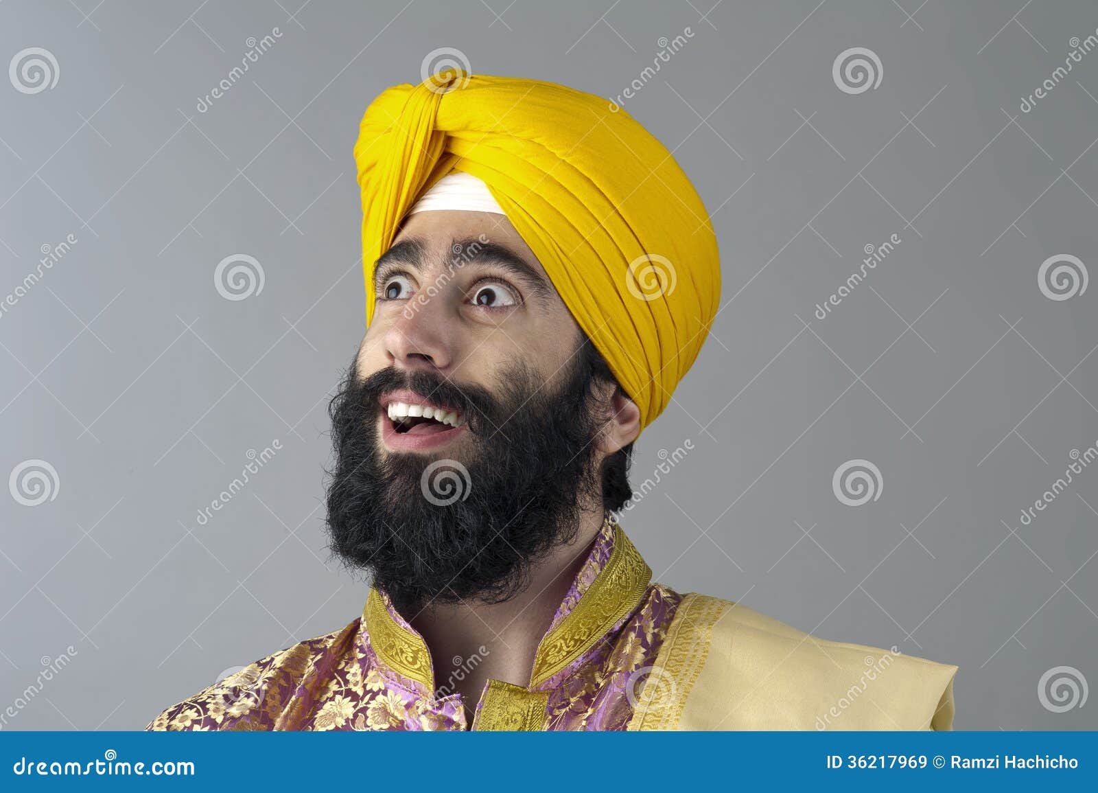 Portrait Of Indian Sikh Man With Bushy Beard Royalty Free Stock Images ...