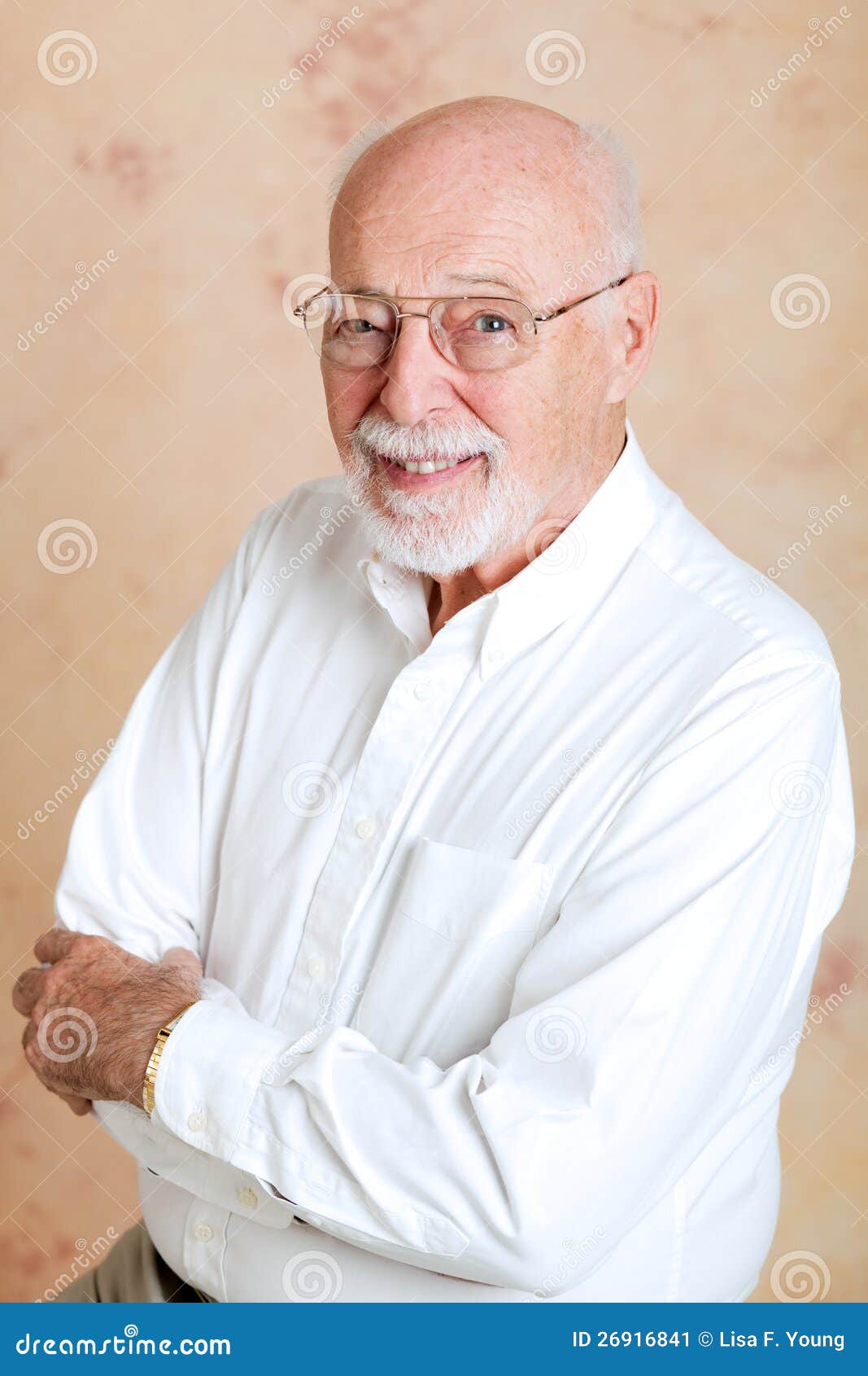 Portrait of Intelligent Senior Man Stock Image - Image of people ...