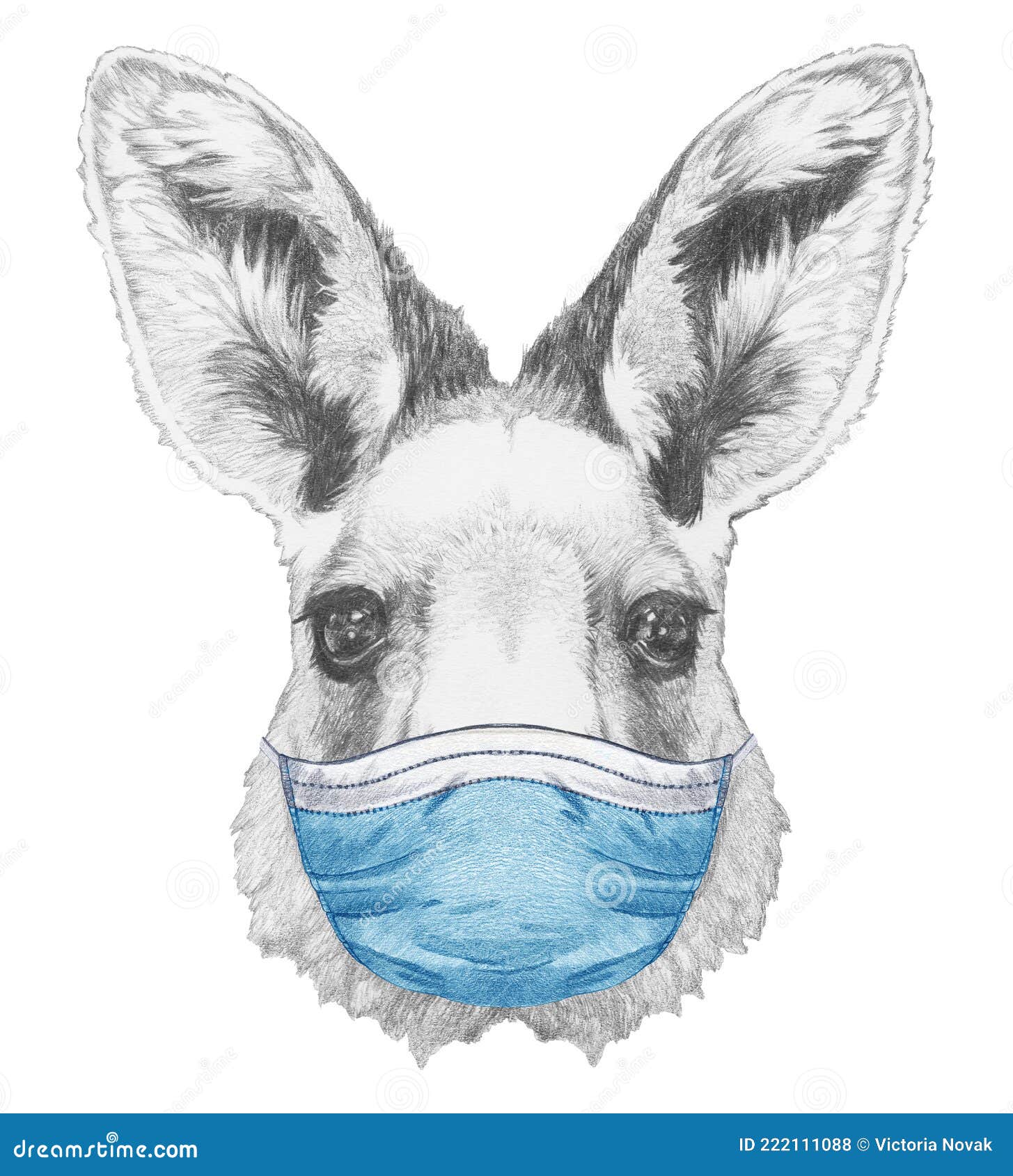 Portrait of Kangaroo with a Face Mask. Hand-drawn Illustration. Stock ...