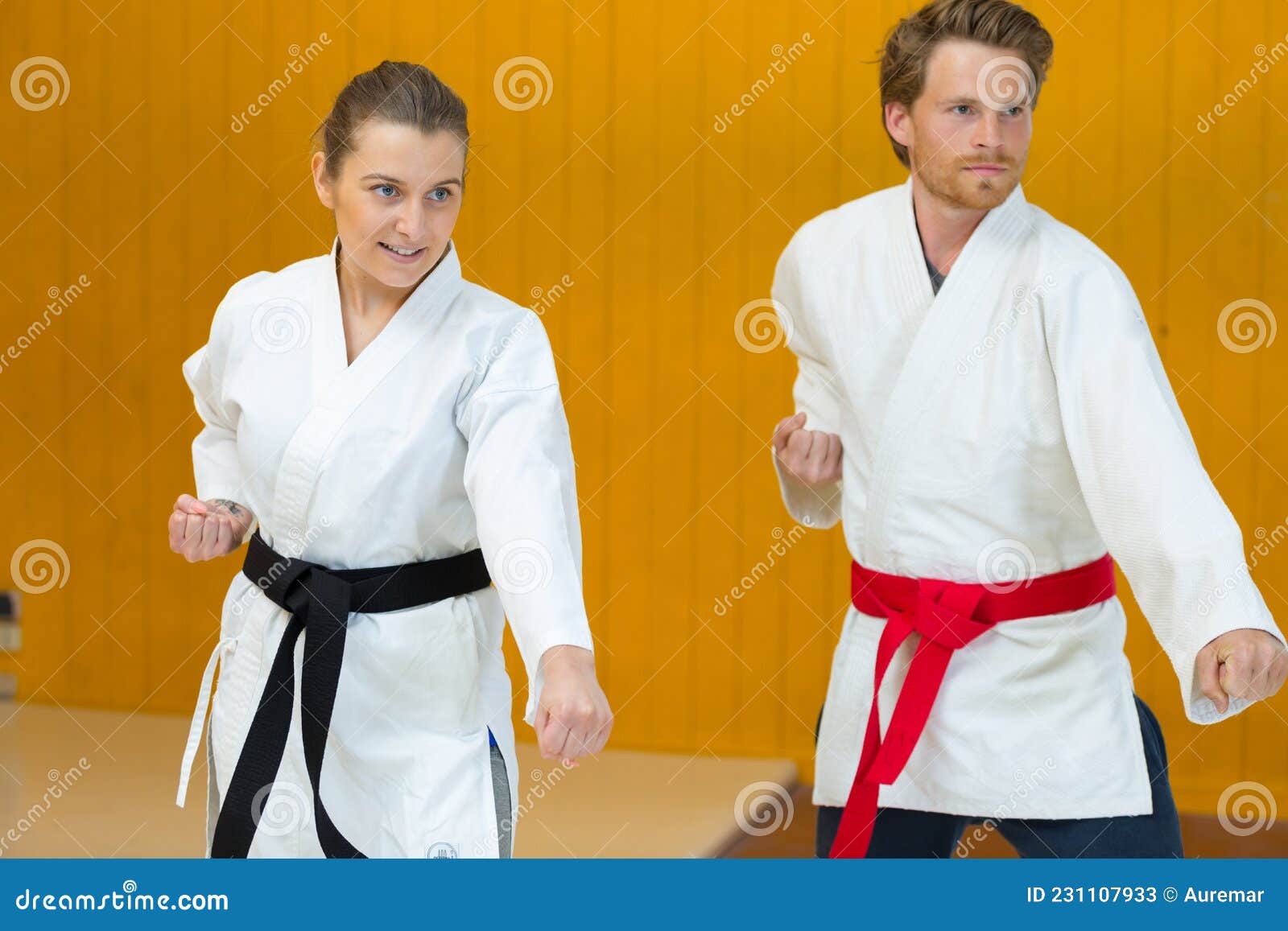 Portrait Karate Couple Doing Exercise Stock Image - Image of teacher ...