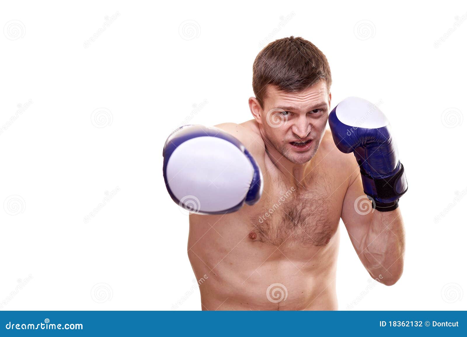 Portrait of a kick boxer stock photo. Image of athlete - 18362132