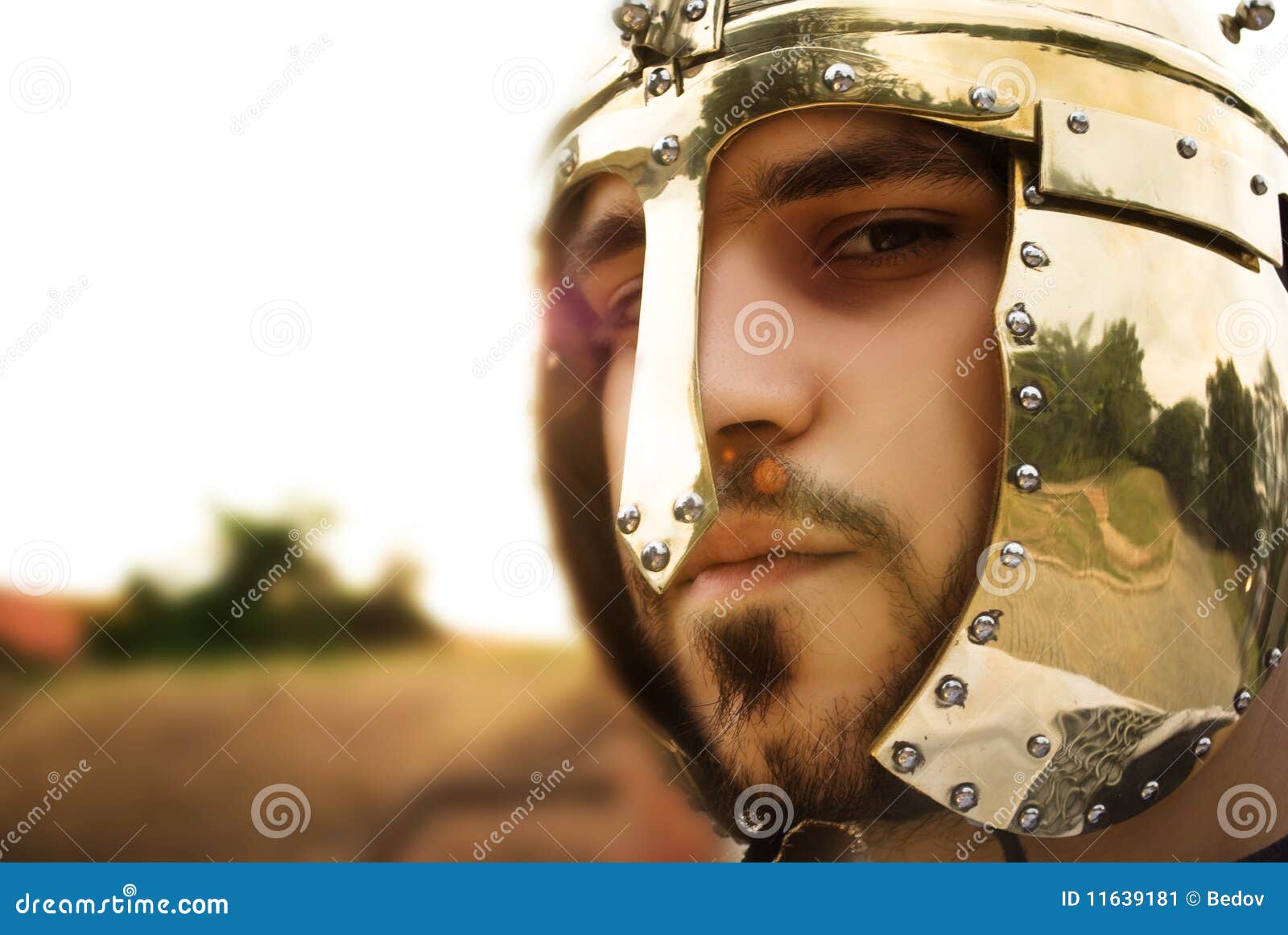 Portrait of a knight stock image. Image of dangerous - 11639181